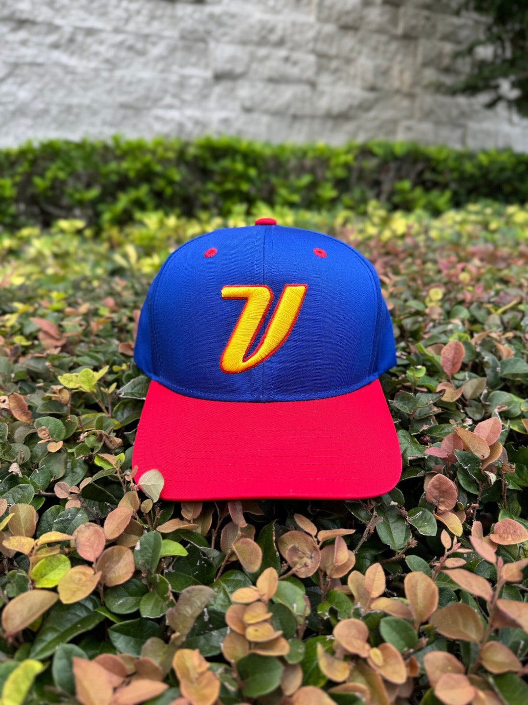 Gorra Venezuela bordada, logo 3D - Etsy México