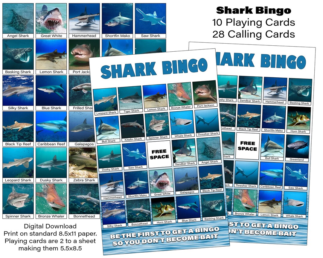 Shark BINGO Cards, Kids Birthday Party Game for Instant Download - Etsy