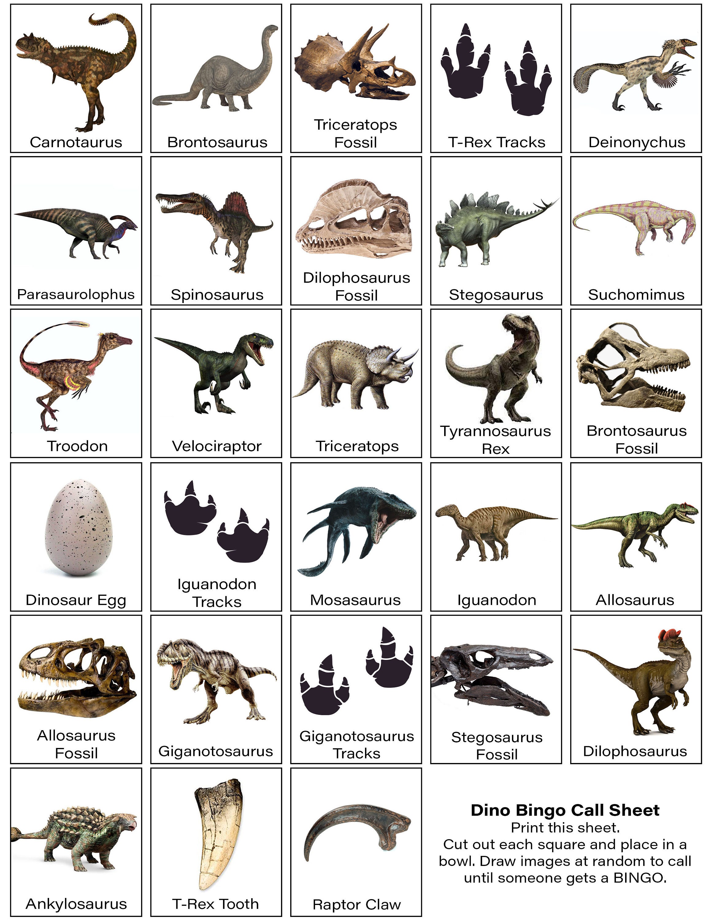 Dinosaur BINGO Cards, Digital Download to Print at Home, 10 Playing ...