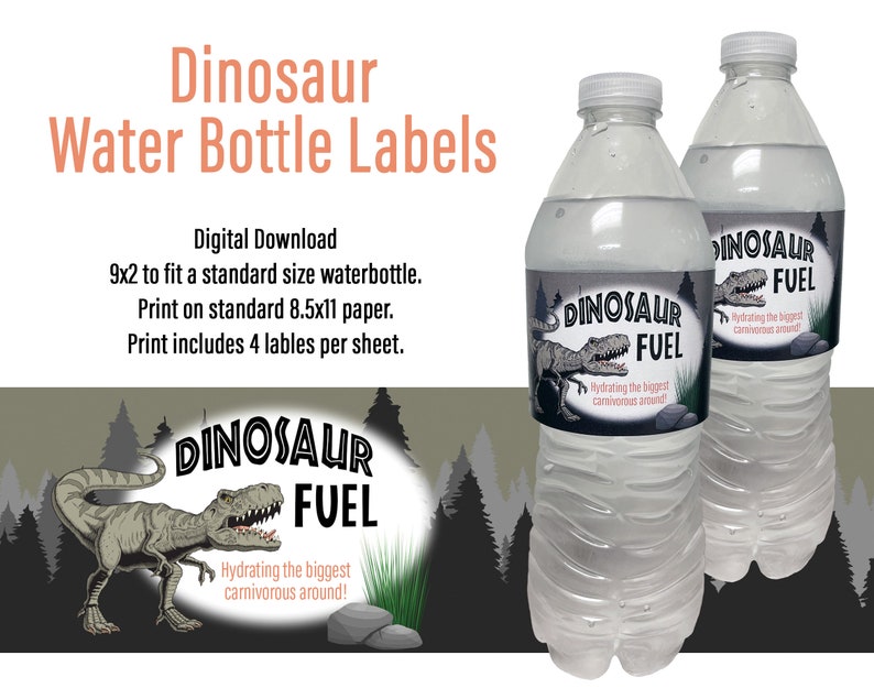 Dinosaur Water Bottle Labels, Dinosaur Party Decorations (digital ...