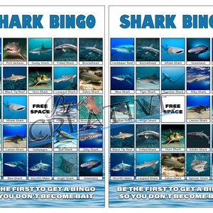 Shark BINGO Cards, Kids Birthday Party Game for Instant Download - Etsy
