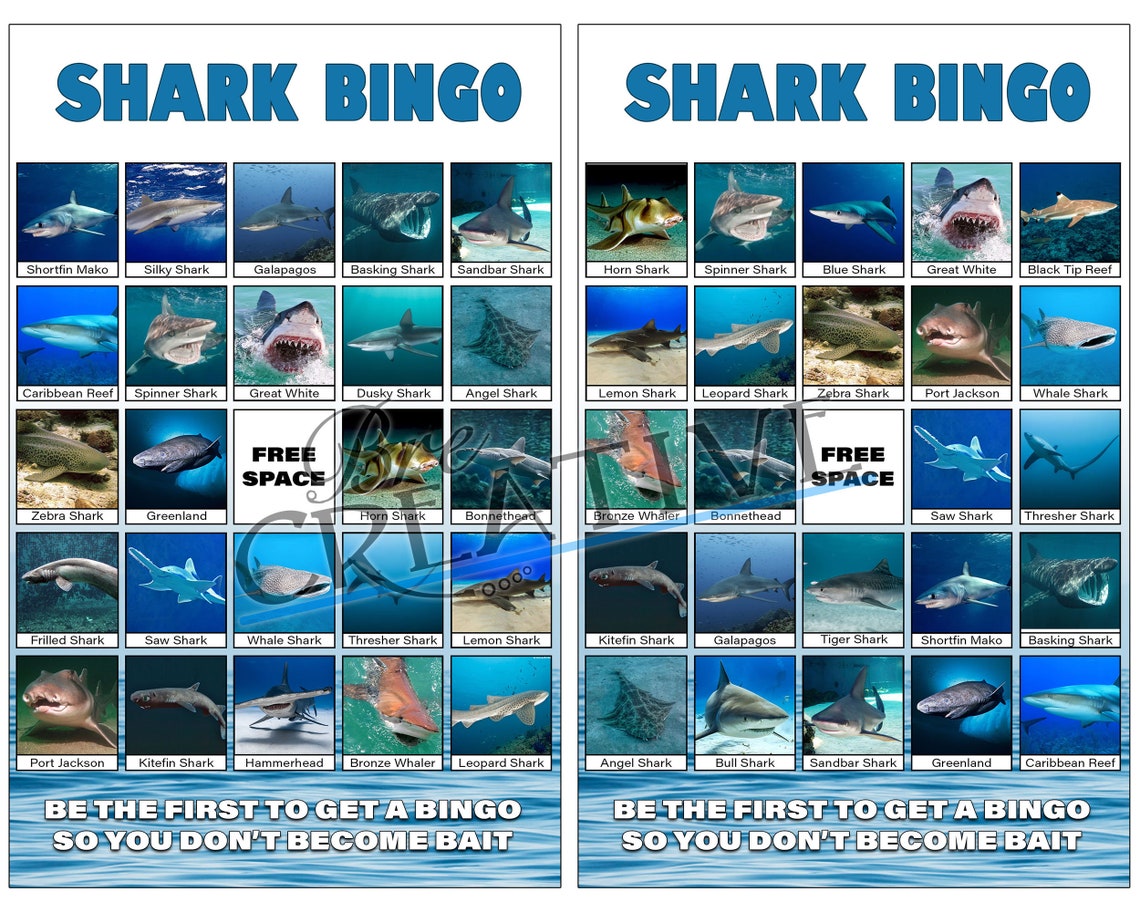 Shark BINGO Cards, Kids Birthday Party Game for Instant Download - Etsy