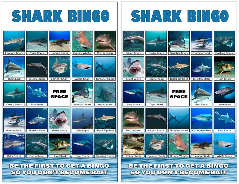 Shark BINGO Cards Kids Birthday Party Game 10 Playing Cards - Etsy