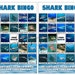 Shark BINGO Cards, Kids Birthday Party Game for Instant Download - Etsy