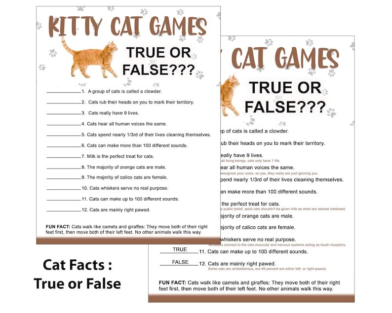 Kitty Cat Themed Party Games, Birthday Party, Digital Download - Etsy