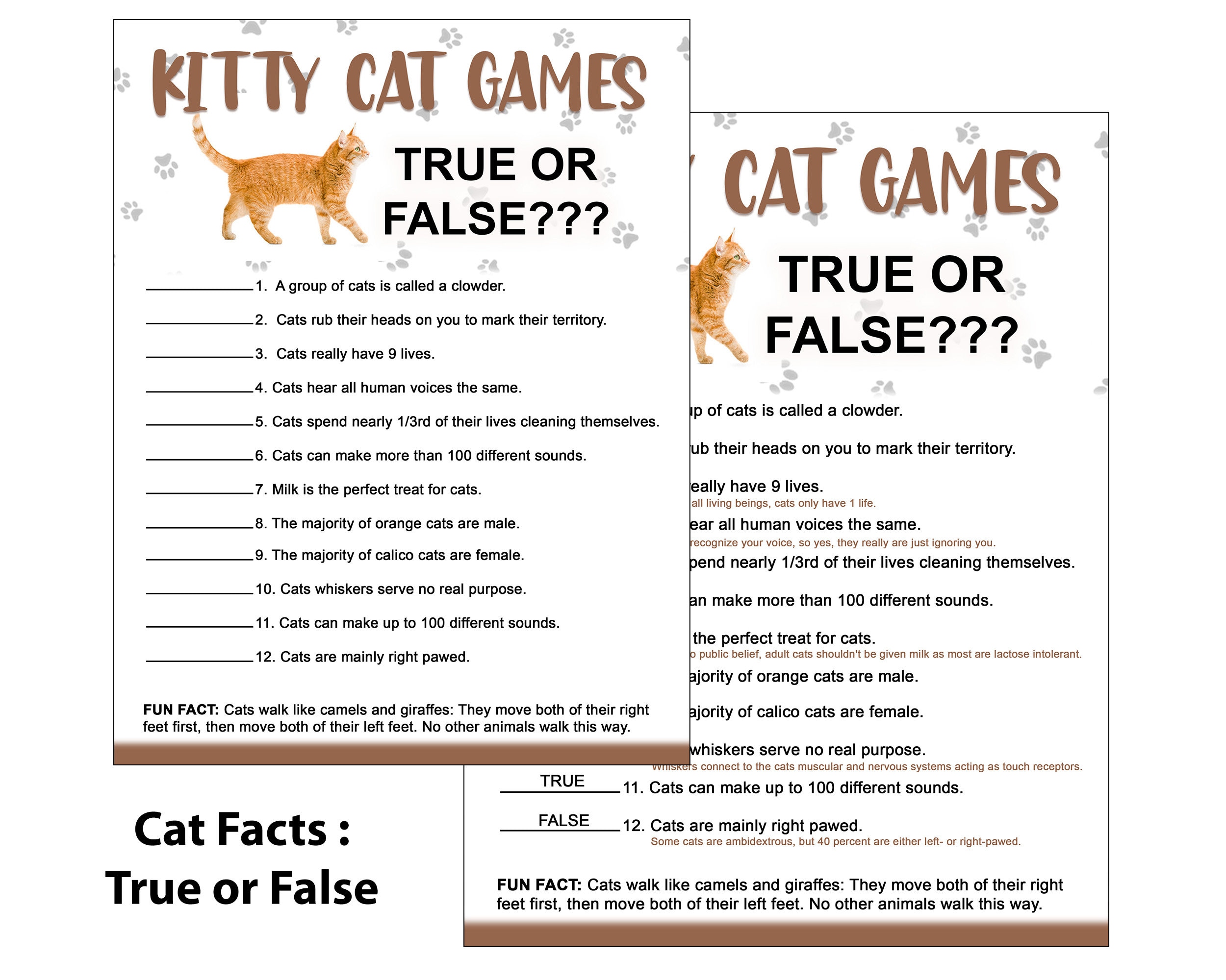 Kitty Cat Themed Party Games, Birthday Party, Digital Download - Etsy