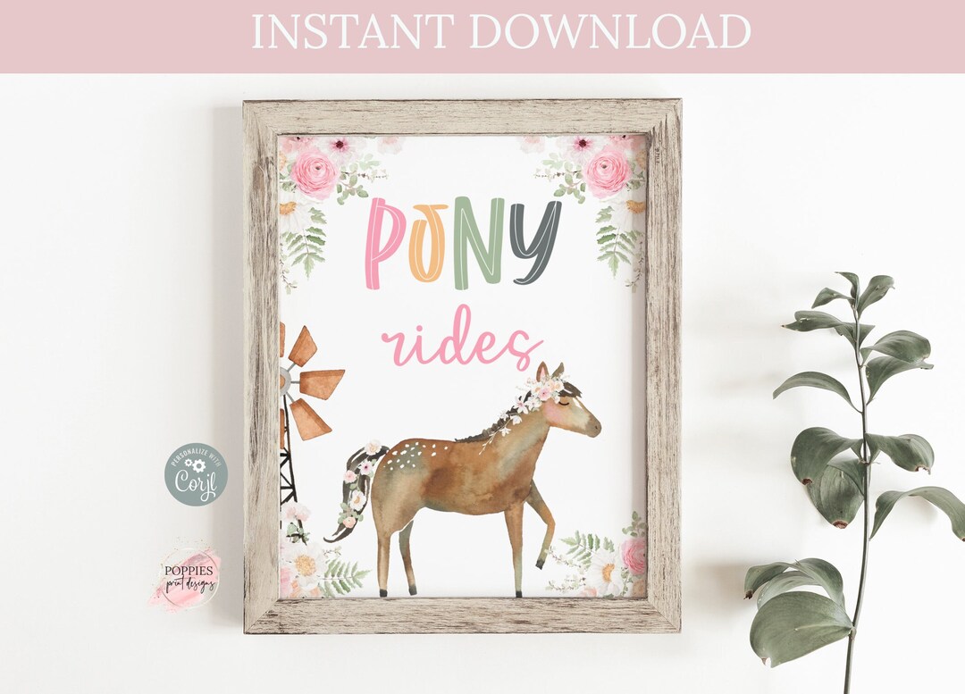 Pink Floral Barnyard Pony Rides Sign Farm Birthday Party Game Sign Girl ...