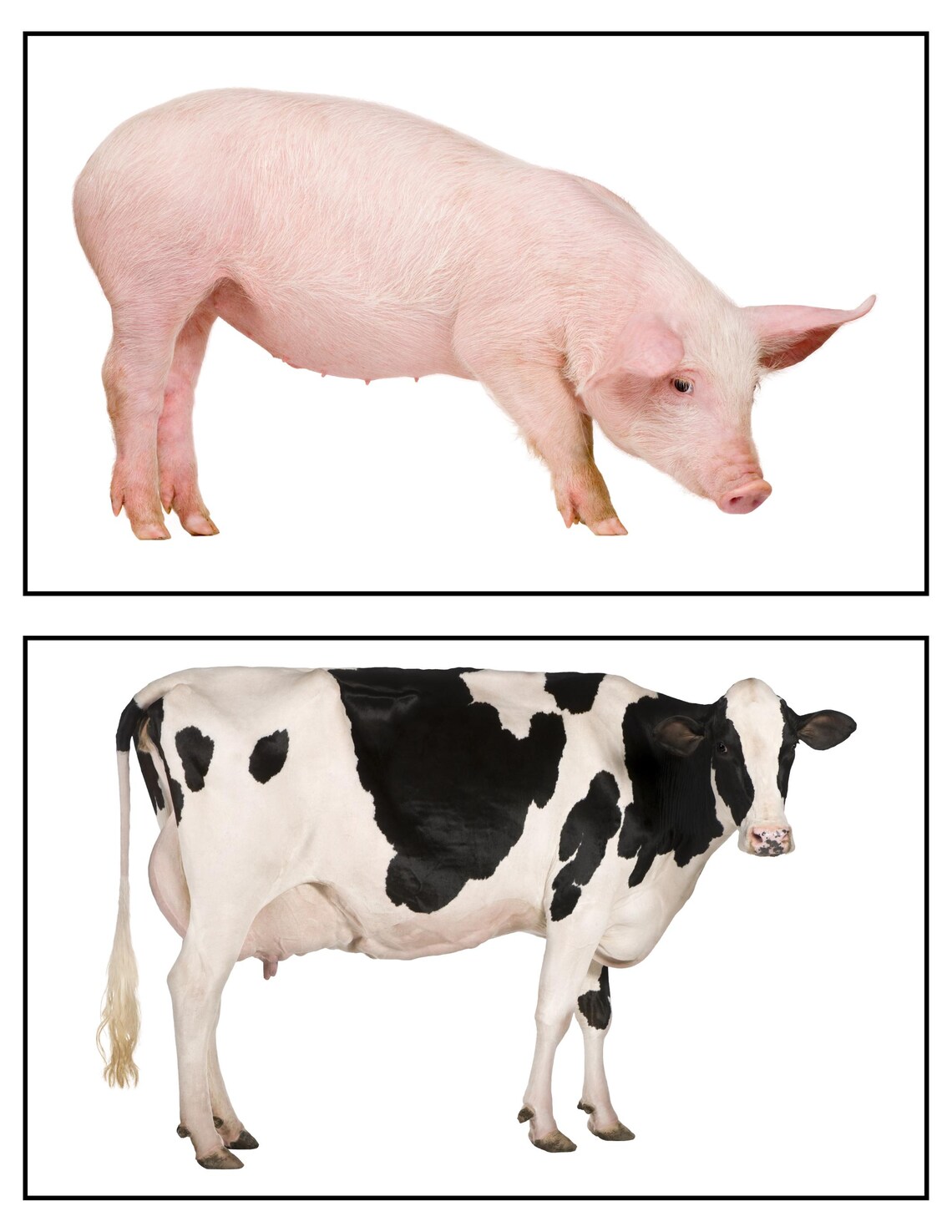Montessori Farm Animal Puzzle - Etsy
