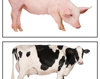 Farm Themed Matching Puzzle Printable, Montessori Learning, Preschool ...