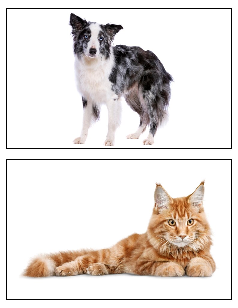 Montessori Farm Animal Puzzle - Etsy