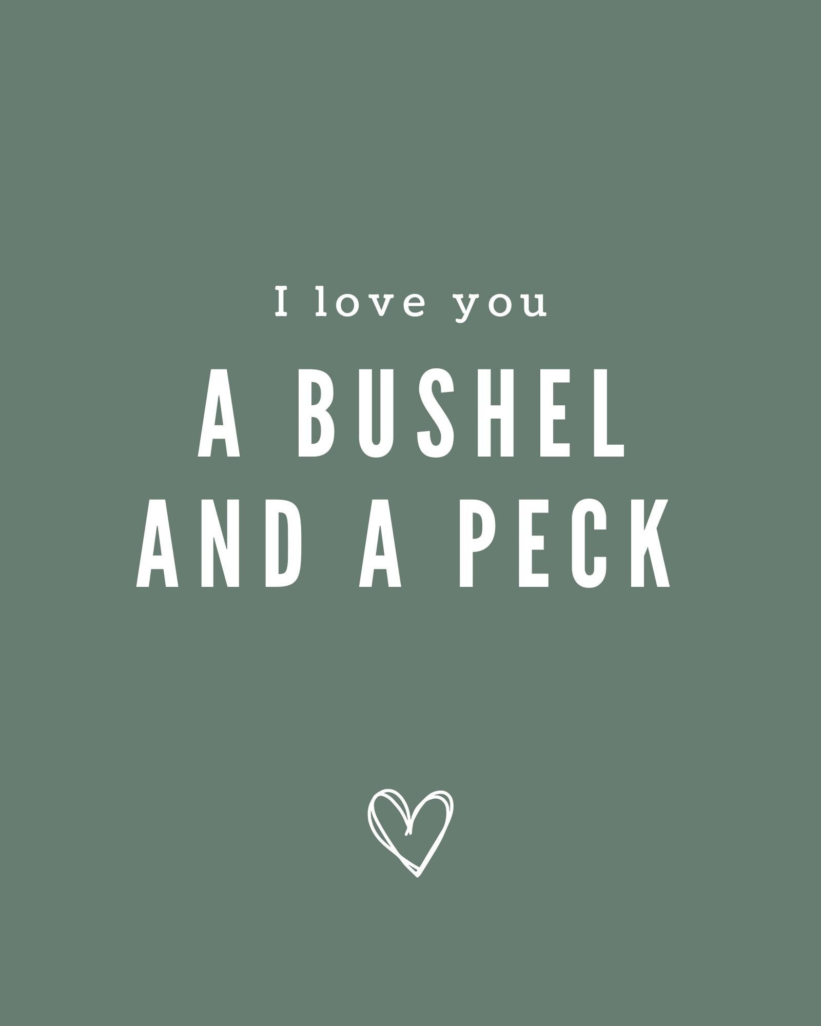 I Love You A Bushel and A Peck Children's Song DIGITAL - Etsy