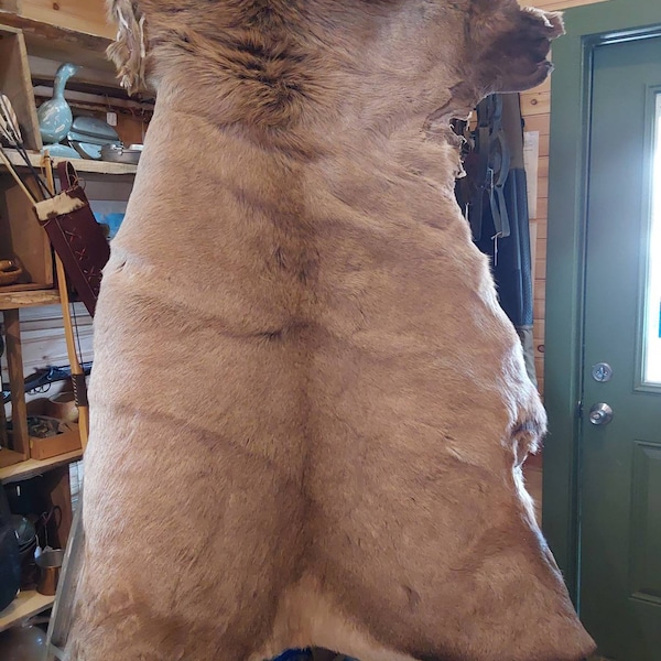 Elk Hide - Etsy