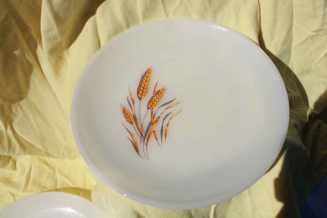 Vintage Anchor Hocking Fire King Dinner Plates, Wheat Pattern, Set of 2 ...