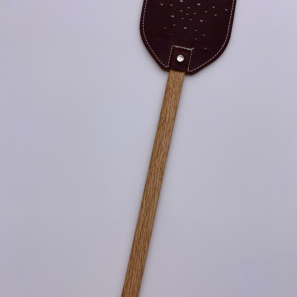 Fly Swatter - Etsy