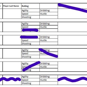 Simple Basketball Tryout Evaluation Form - Etsy