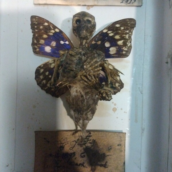 Dead Fairy - Etsy