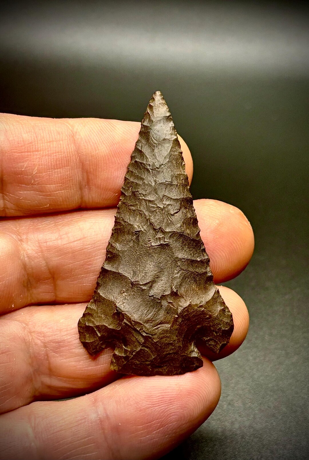 Pine Tree Arrowhead - Etsy