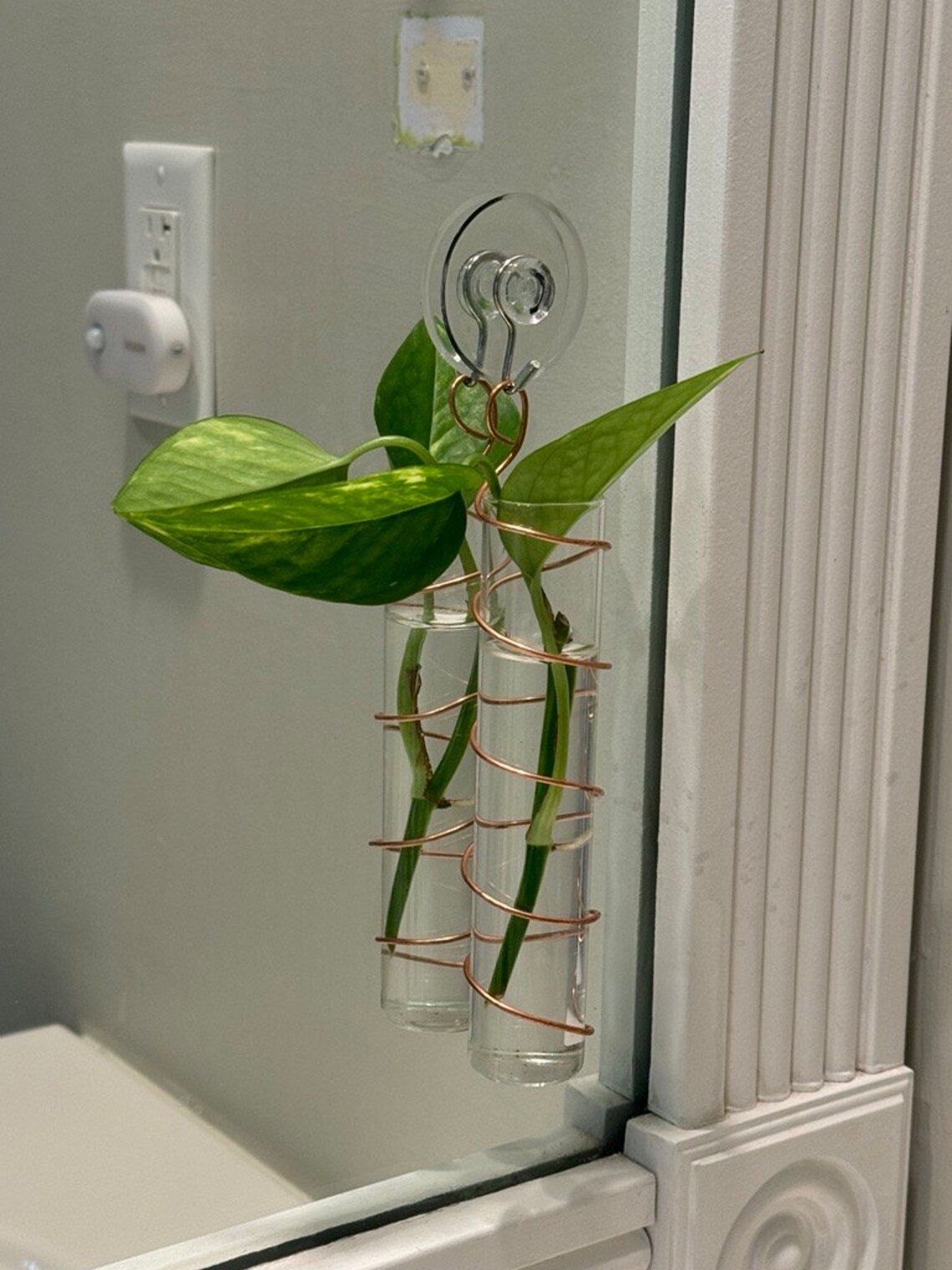 Handmade Cute Test Tube Planters set, Wall or Window Mounted Plant ...