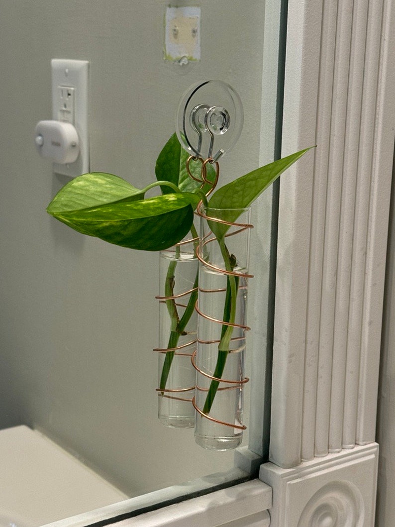 Handmade Cute Test Tube Planters (set), Wall or Window Mounted Plant ...