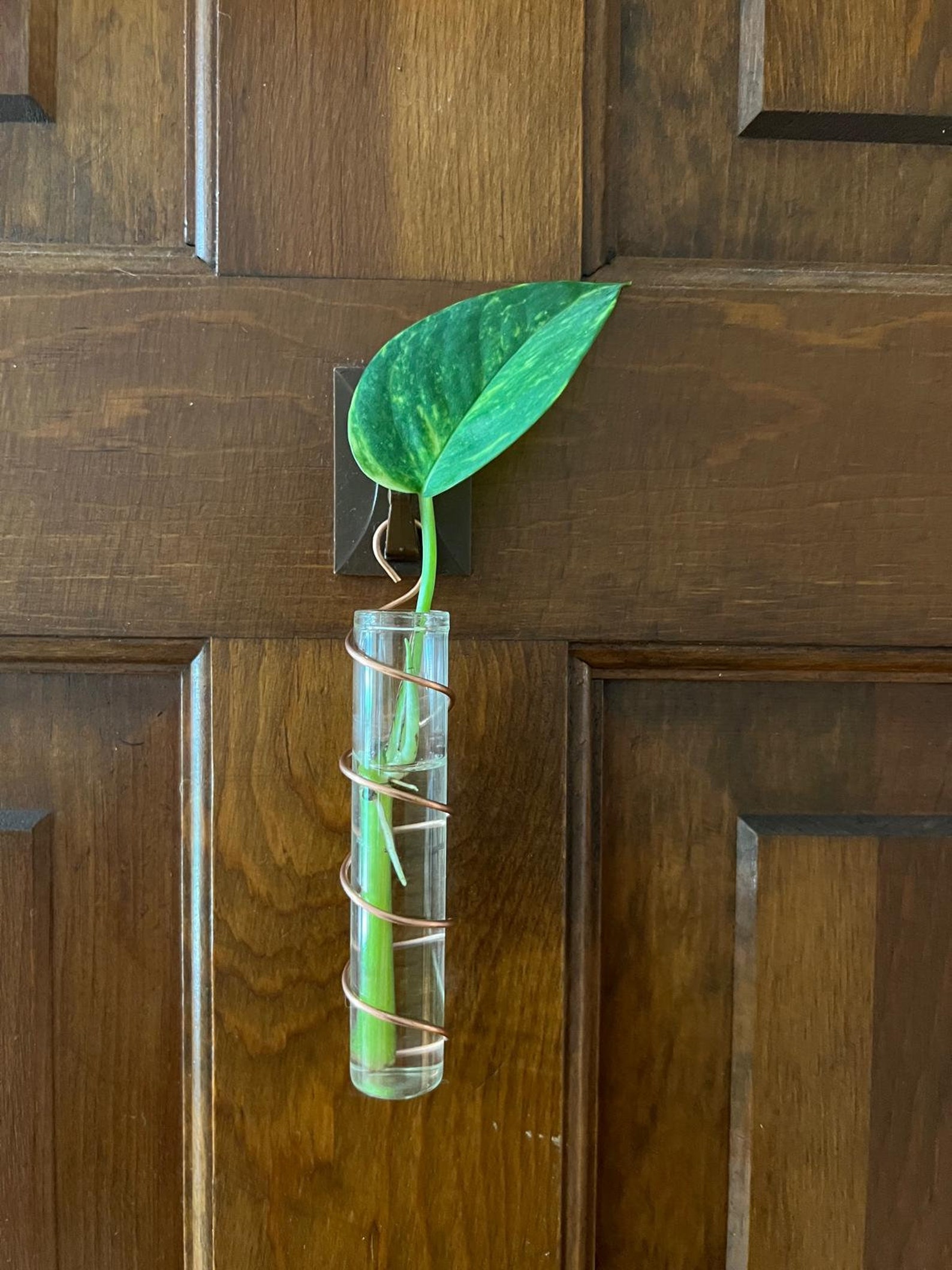 Handmade small Cute Test Tube Planters, Wall or Window Mounted Plant ...