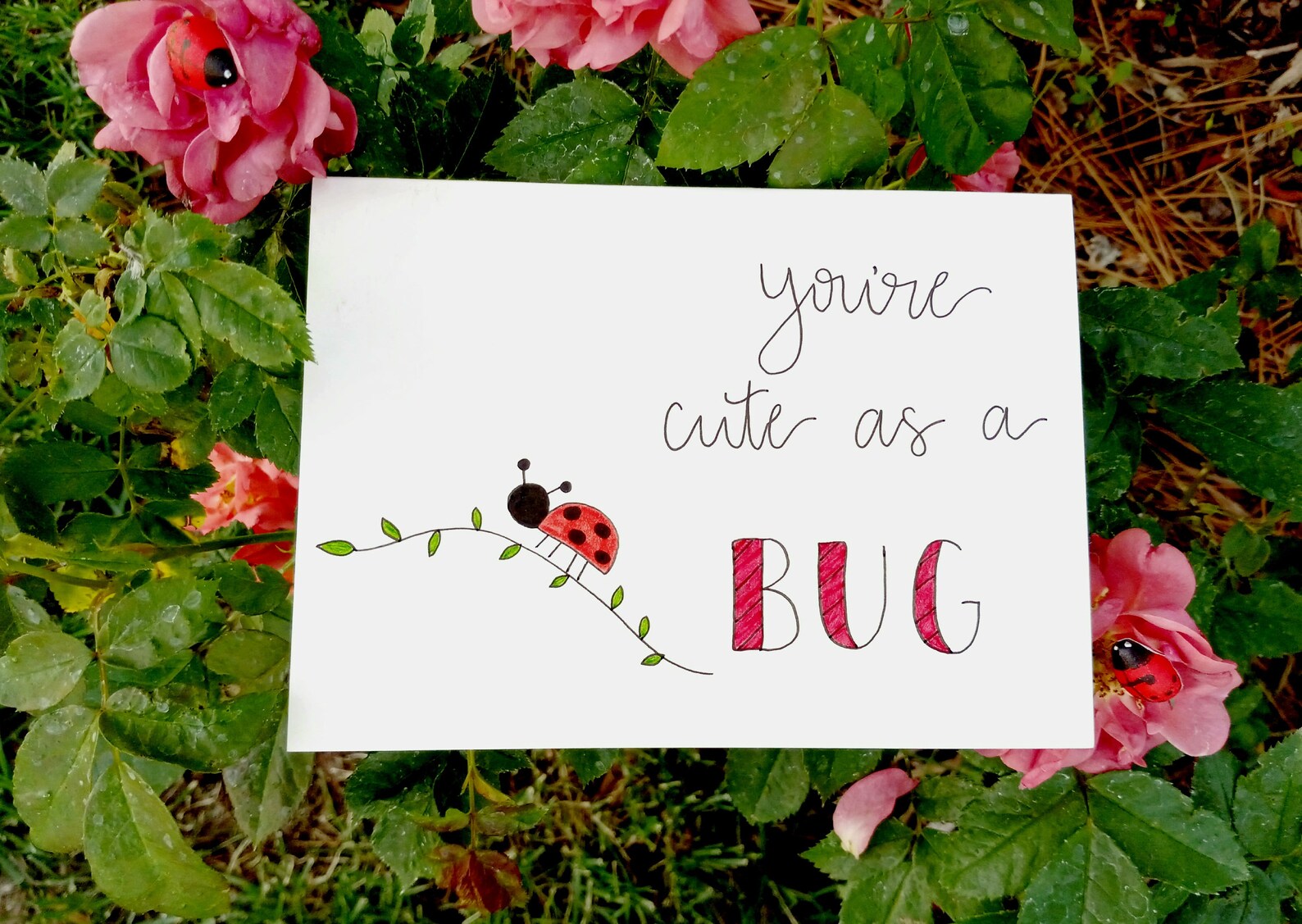 Handmade Ladybug Variety Note Cards - Set of 5 - Ladybug and Nature ...