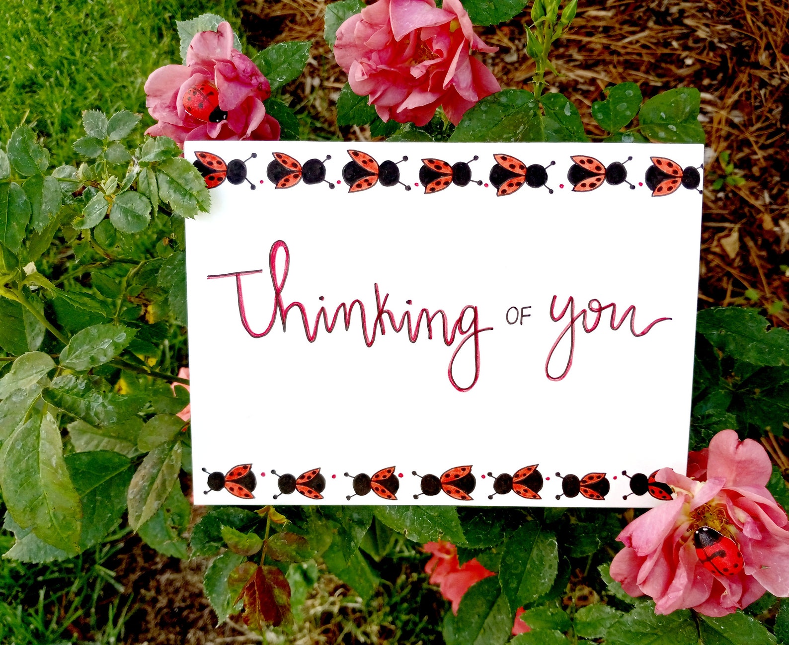 Handmade Ladybug Variety Note Cards - Set of 5 - Ladybug and Nature ...