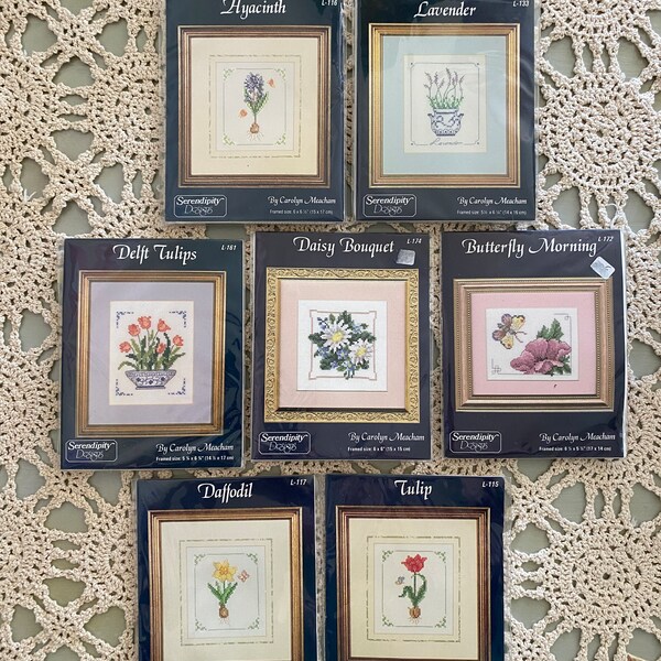 Serendipity Cross Stitch Kit - Etsy