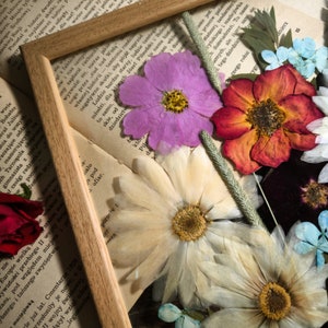Original Artwork Real Flower in Frame, Botanical Art, Large Pressed ...
