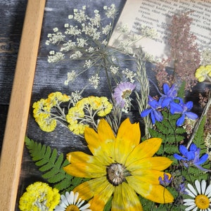Botanical Art in Wooden Frame, Large Pressed Flower Frame, Pressed ...