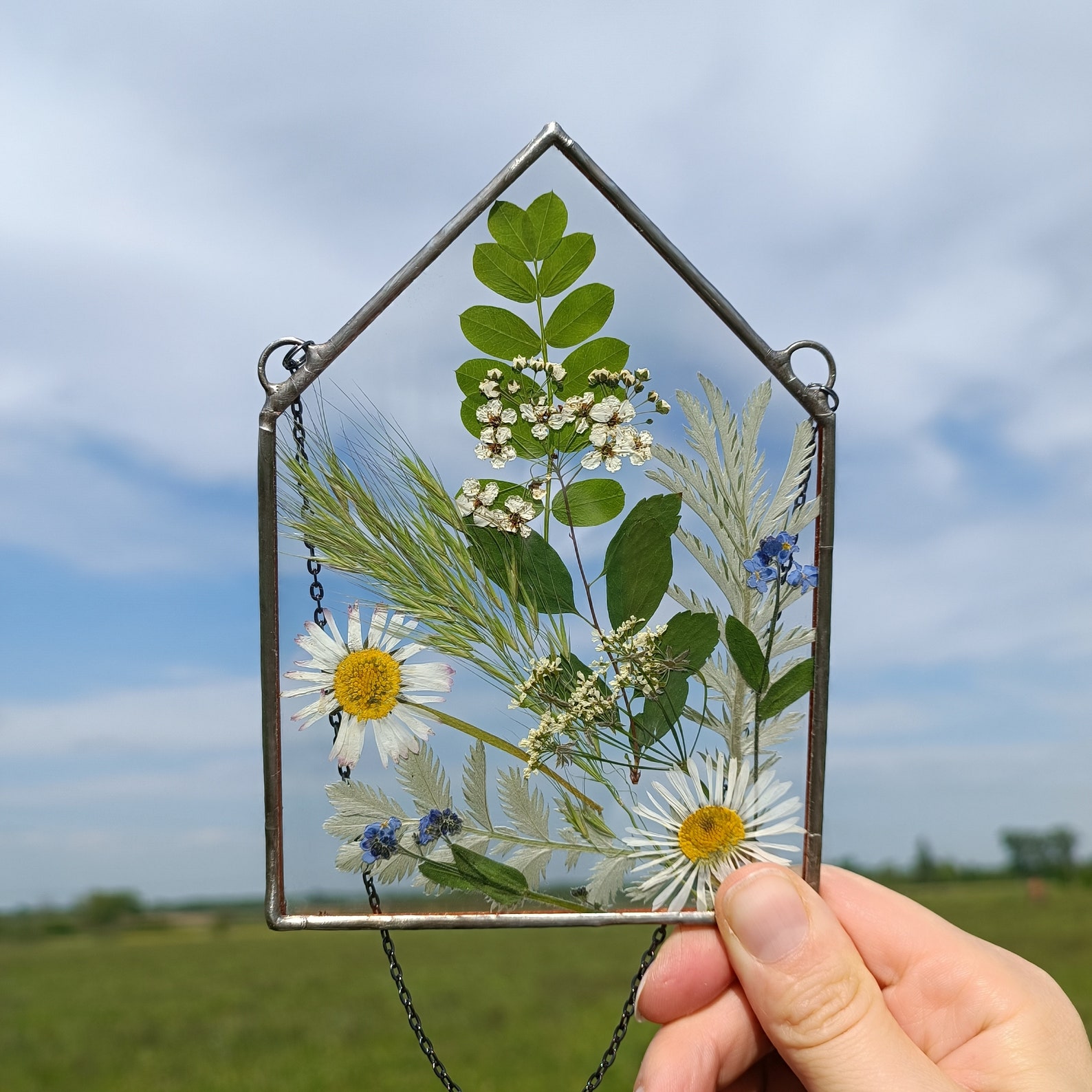 Set of 3 Pressed Flower Frame, Real Lavender, Botanical Dried Pressed ...