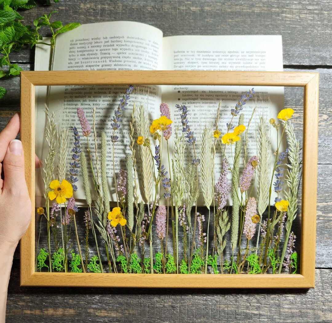 Large Pressed Flower Frame. Original Artwork Real Wildflower in Frame ...
