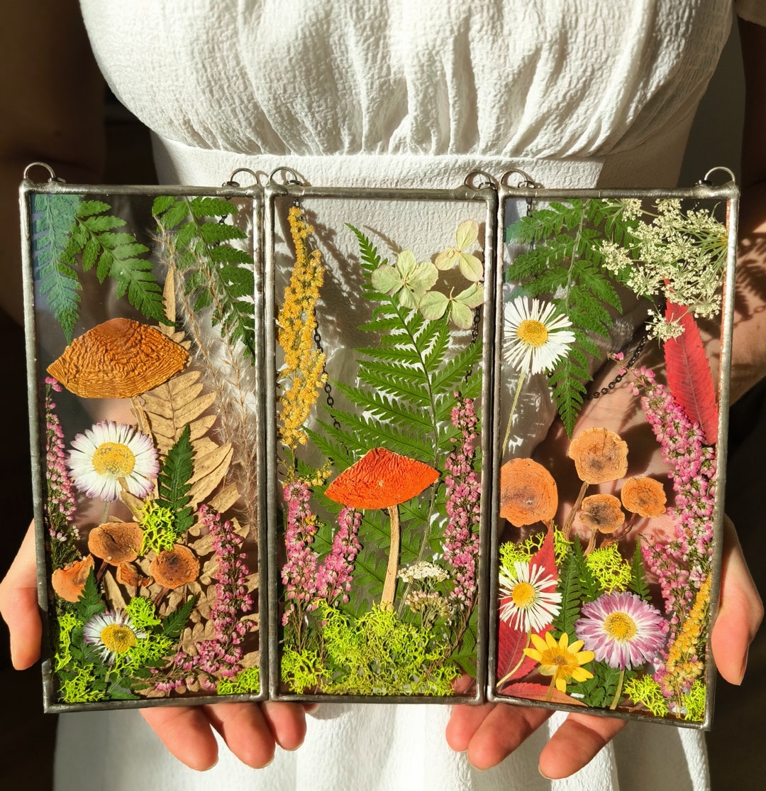 Set of 3 Botanical Frame, Real Wildflower and Mushrooms in Stained ...
