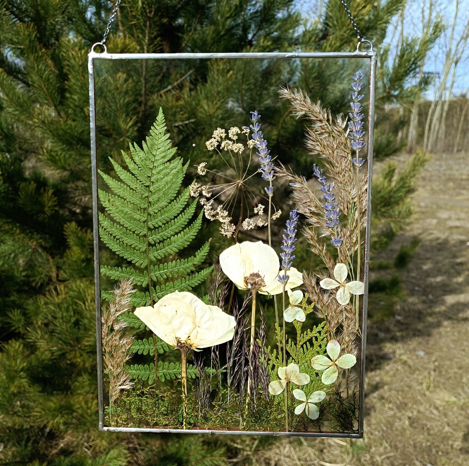 Large Pressed Flower Frame Real Pressed Botanicals Wall - Etsy