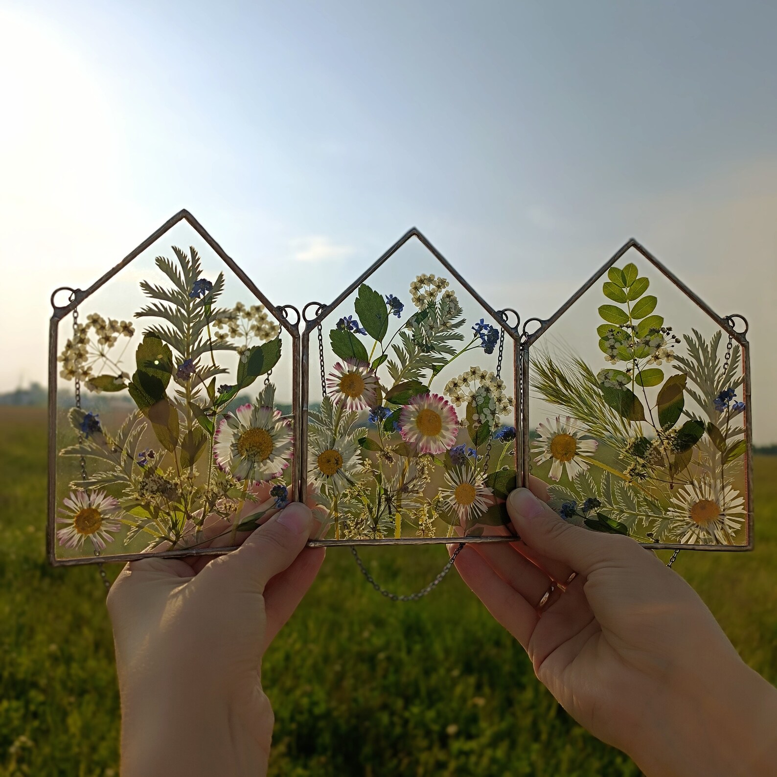 Set of 3 Pressed Flower Frame, Real Lavender, Botanical Dried Pressed ...