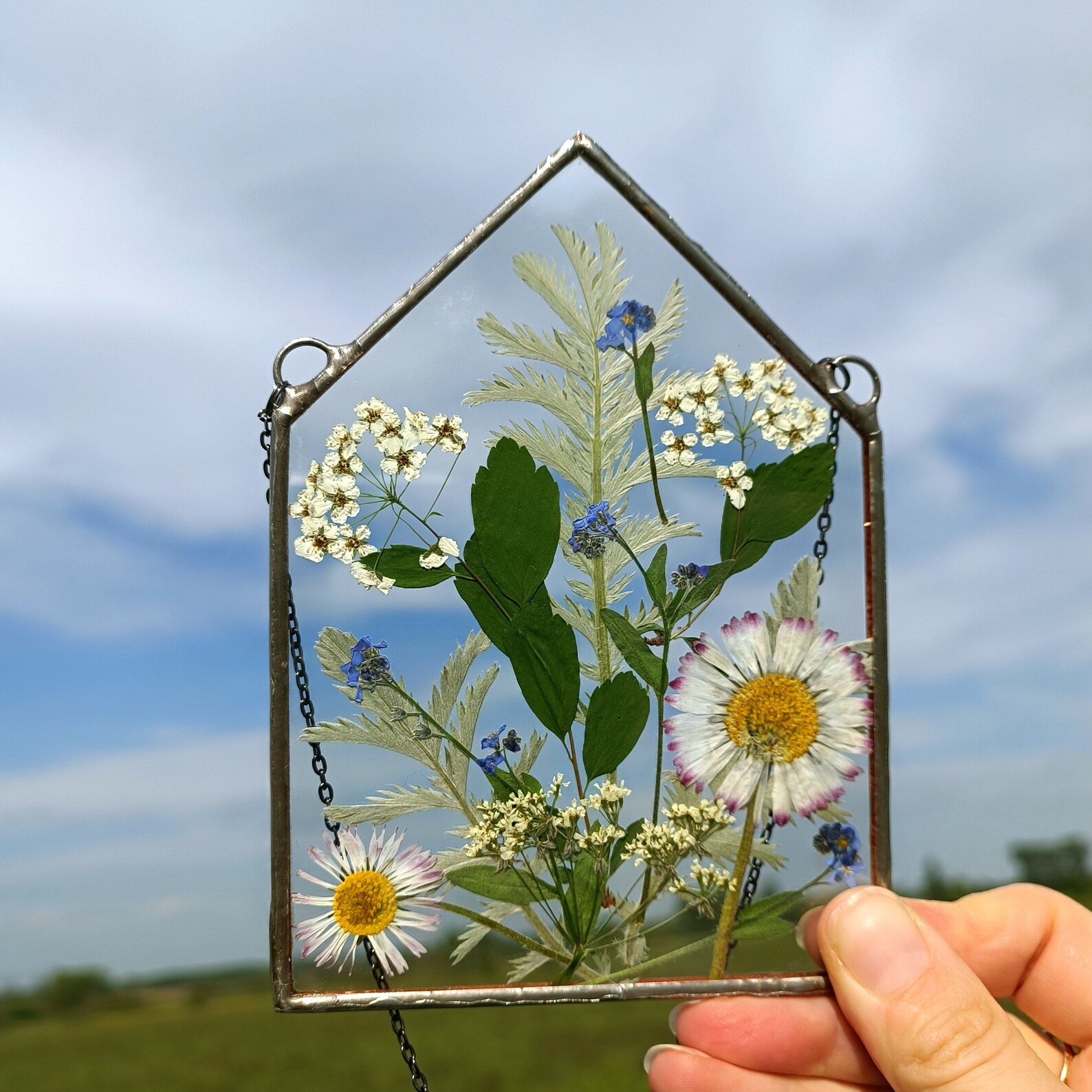 Set of 3 Pressed Flower Frame, Real Lavender, Botanical Dried Pressed ...