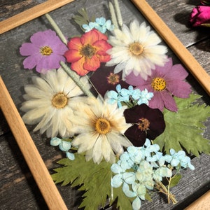 Original Artwork Real Flower in Frame, Botanical Art, Large Pressed ...