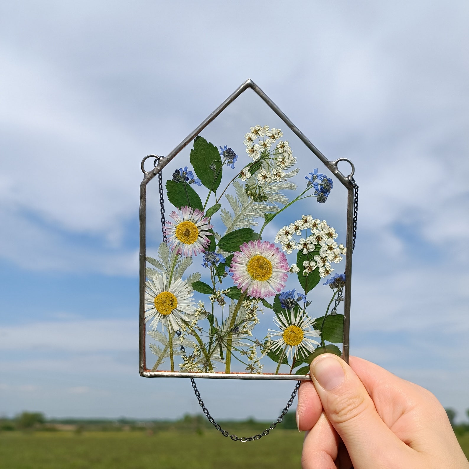 Set of 3 Pressed Flower Frame, Real Lavender, Botanical Dried Pressed ...