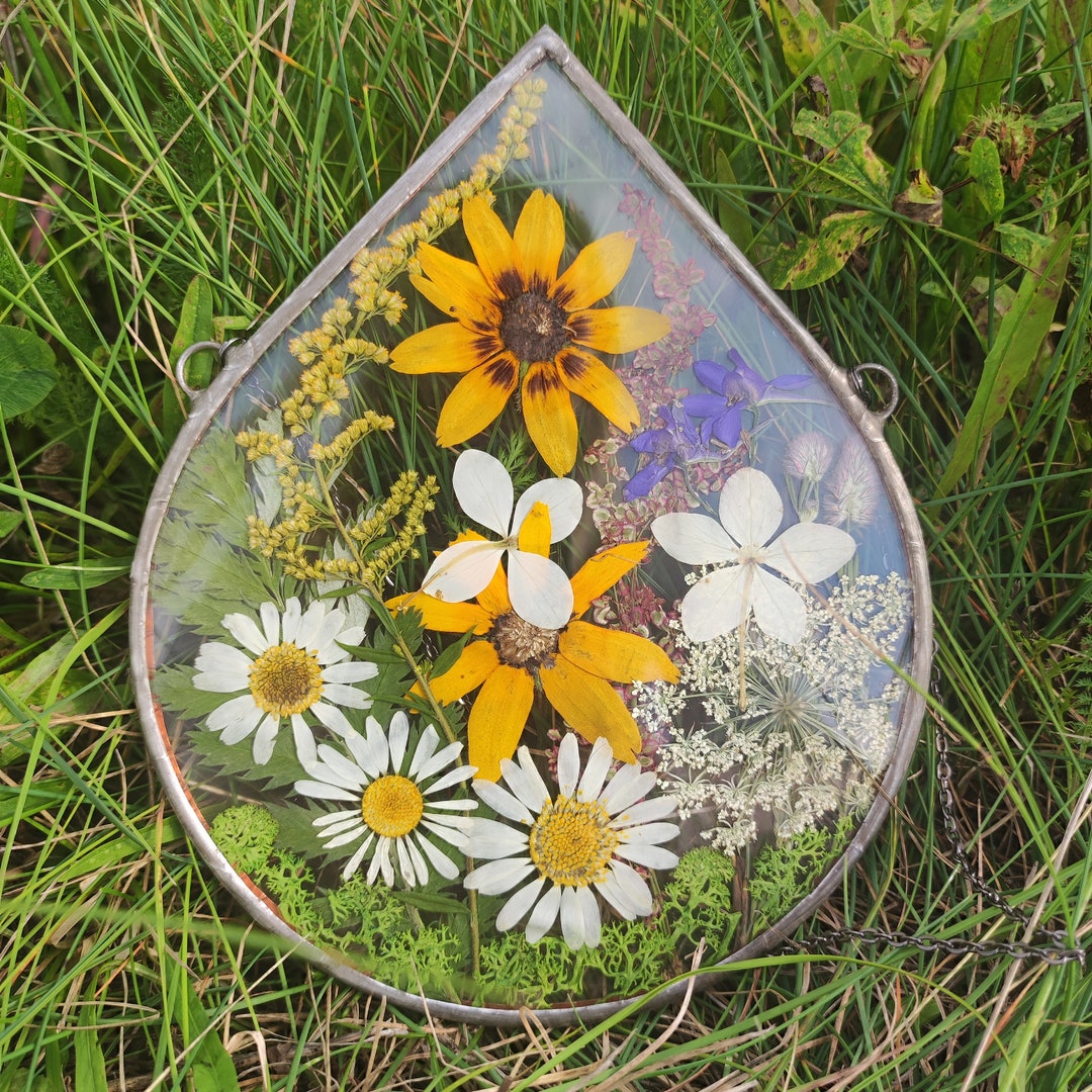 Flower Art, Real Flowers, Pressed Flower Gift, Original Pressed Flower ...