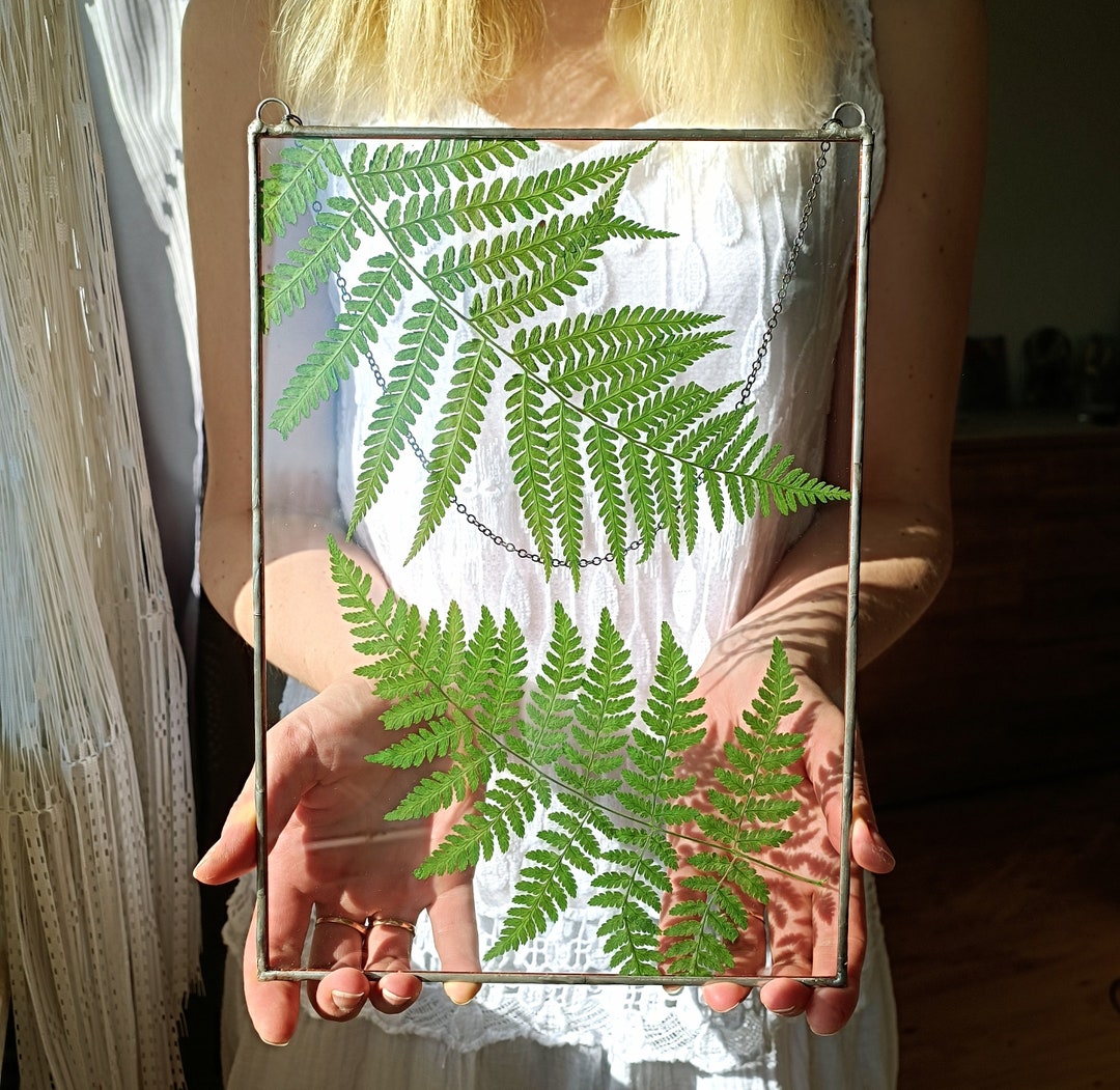 Stained Glass Pressed Fern Frame: Handmade Hanging Decor - Etsy