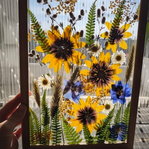 Original Artwork - Real Flower in Frame, Botanical Art, Large Pressed ...