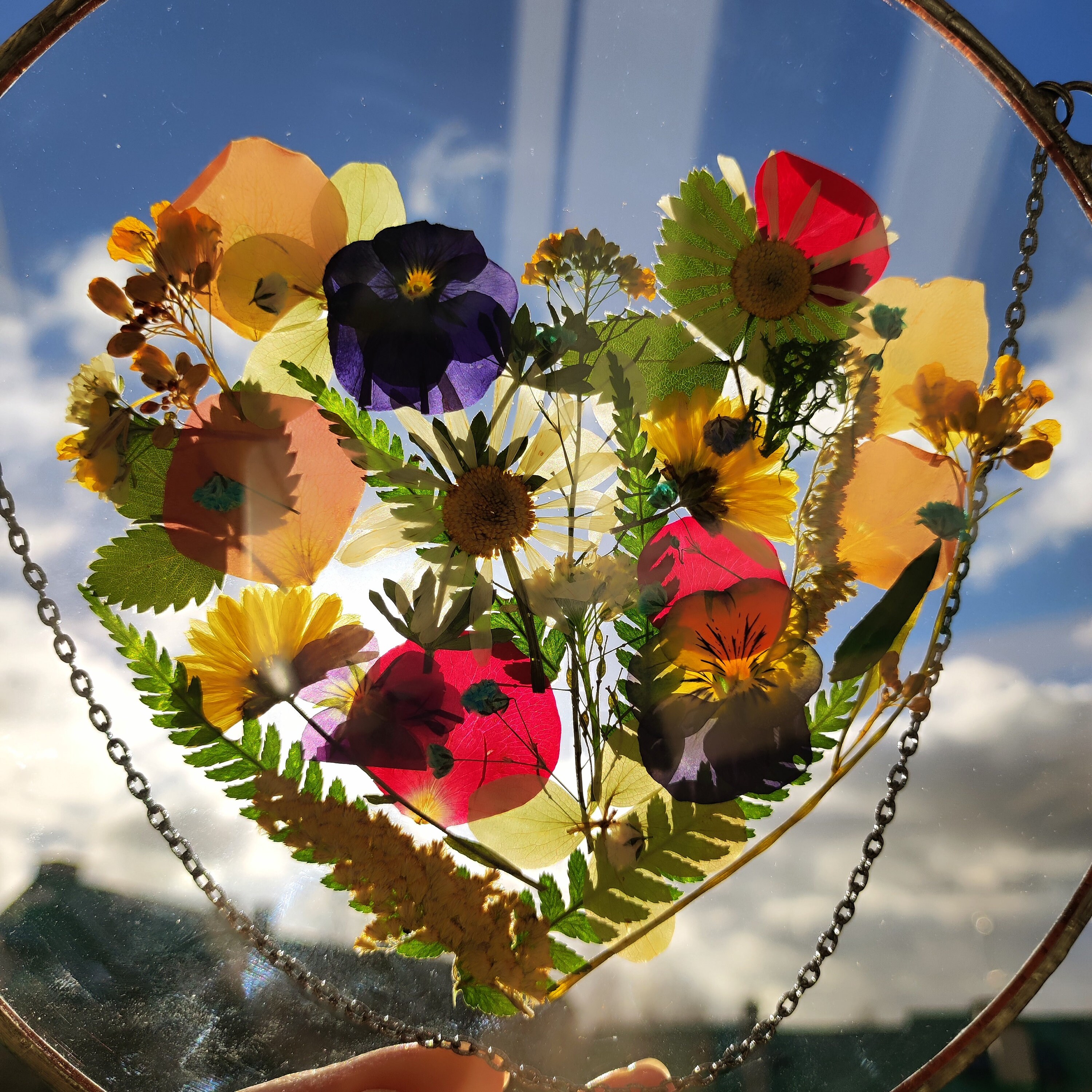 Large Pressed Flower Frame Wall Decor Botanical Art Pressed - Etsy