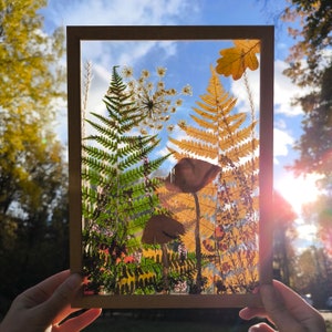 Botanical Art in Wooden Frame, Large Pressed Flower Frame, Hanging ...