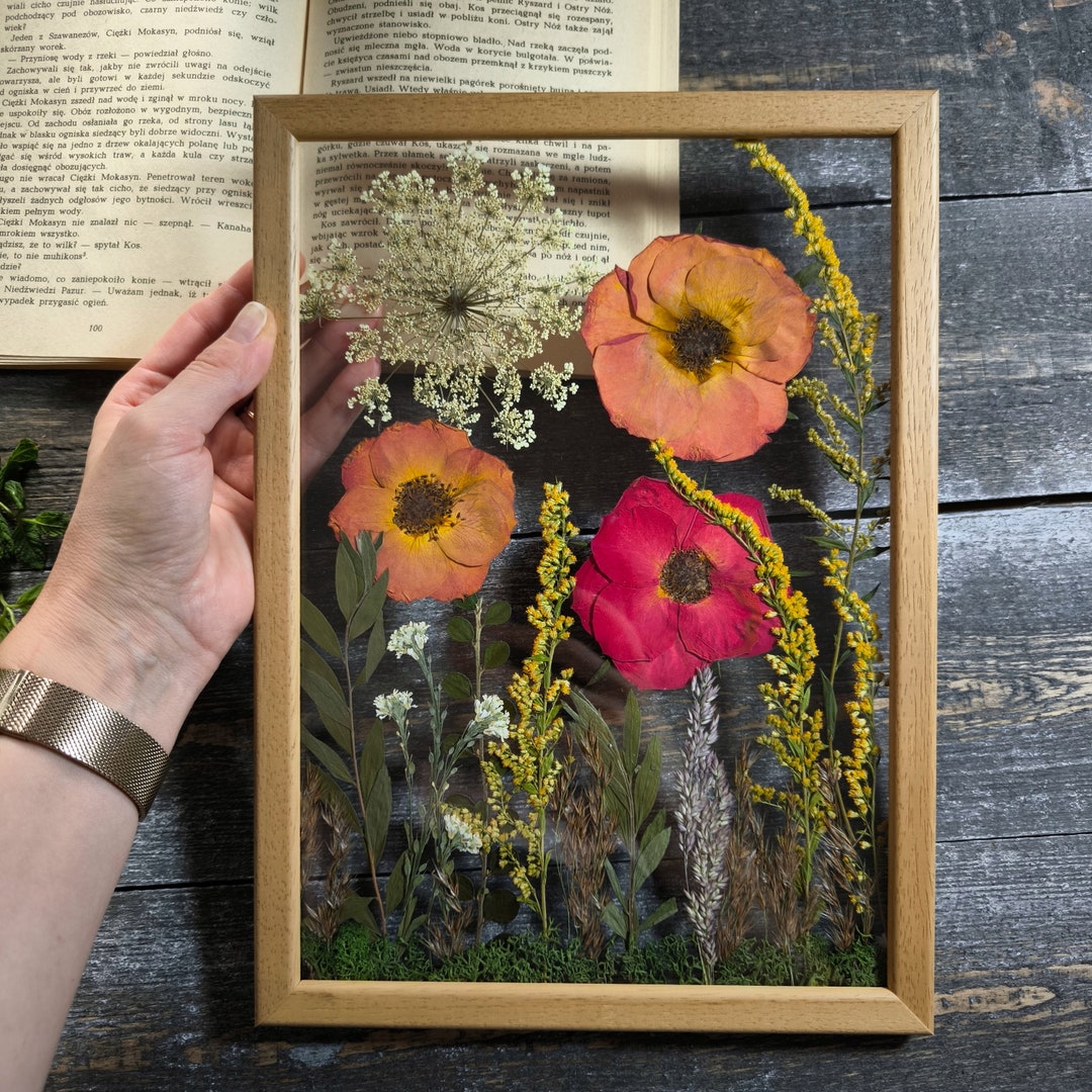 Original Artwork Real Flower in Frame, Botanical Art, Large Pressed ...
