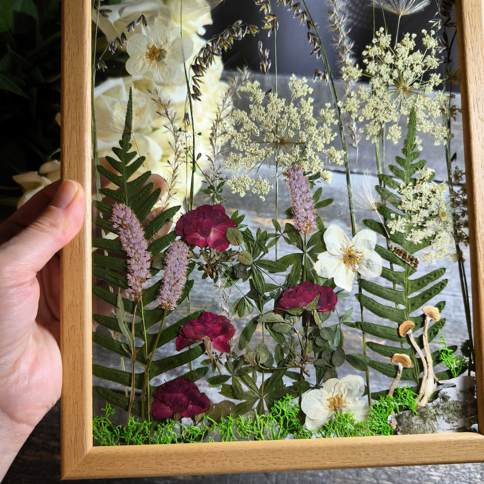 Original Artwork Real Flower in Frame, Botanical Art, Large Pressed ...
