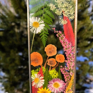 Pressed Plants Art in Stained Glass Frame, Real Wildflower and ...
