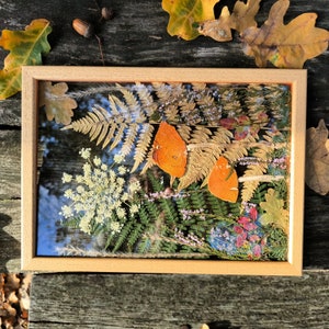 Botanical Art in Wooden Frame, Large Pressed Flower Frame, Hanging ...