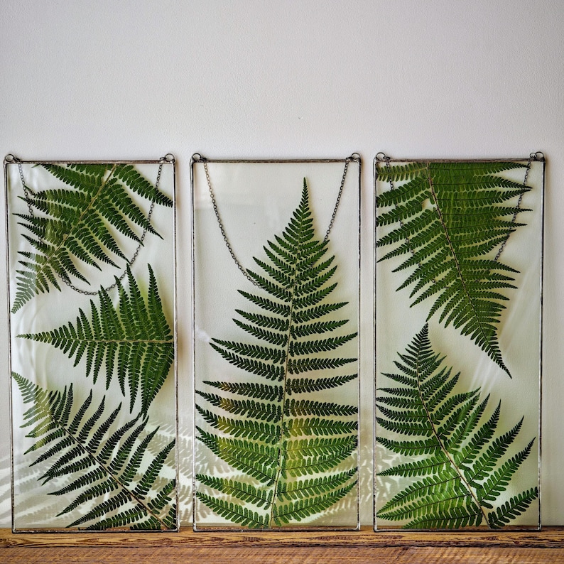 Dried Fern in Large Stained Glass Frame, Pressed Flower Art, Botanical ...