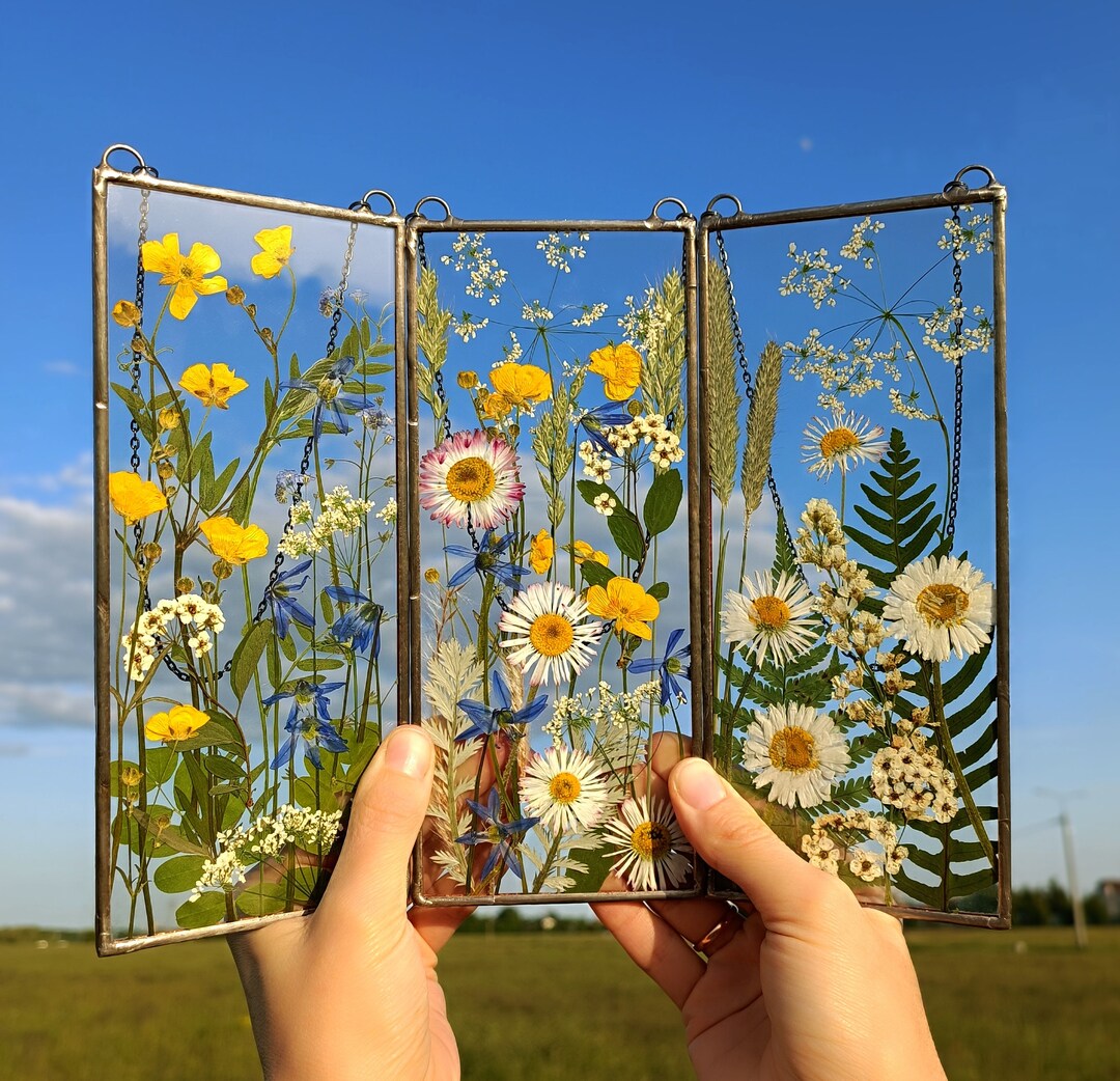 Set of 3 Pressed Flower Frame, Real Lavender, Botanical Dried Pressed ...
