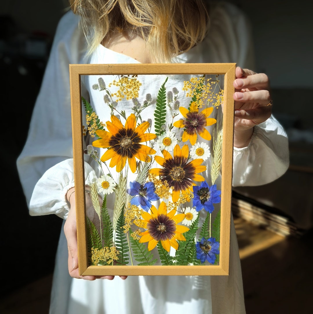 Original Artwork Real Flower in Frame, Botanical Art, Large Pressed ...