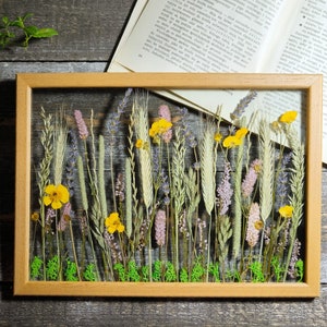 Large Pressed Flower Frame. Original Artwork Real Wildflower in Frame ...